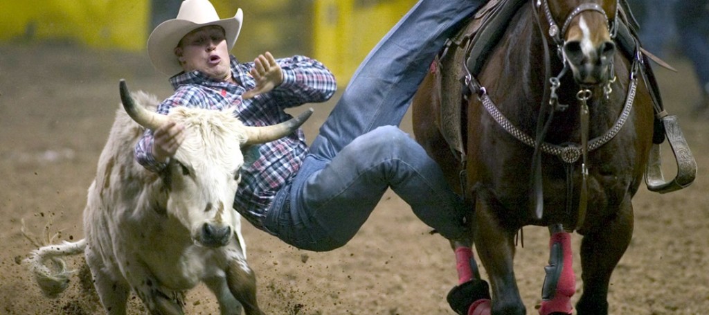 Bulldogging ou Steer Wrestling – Modalidades Radicais do Rodeio | Blog ...