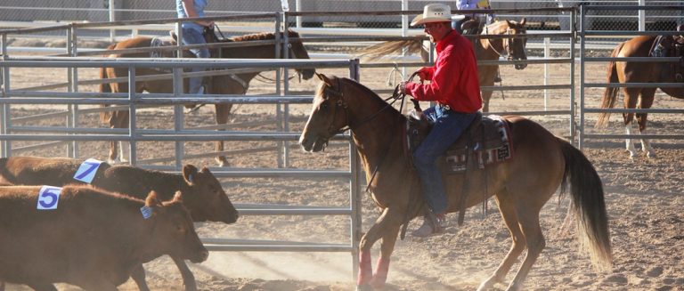 Ranch Sorting: Modalidade Esportiva Familiar | Blog Rodeo West