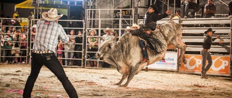 Qual o Maior Campeão de Rodeio do Brasil? | Blog Rodeo West
