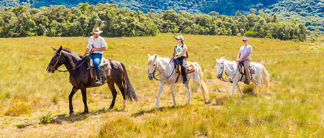Cavalgadas - Saiba Mais Sobre essa Prática | Blog Rodeo West