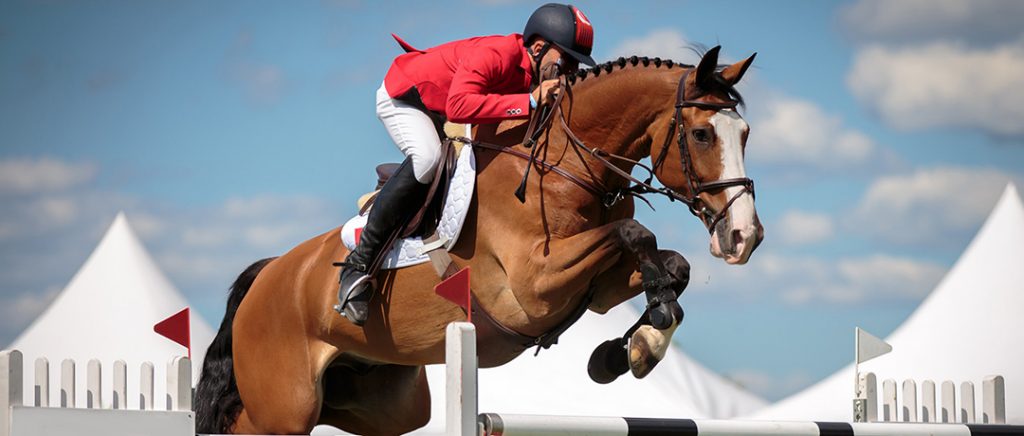 Tudo o que você precisa saber sobre o hipismo | Blog Rodeo West