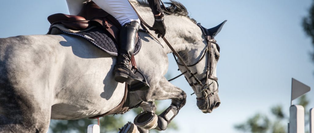 O que é preciso para praticar o hipismo | Blog Rodeo West