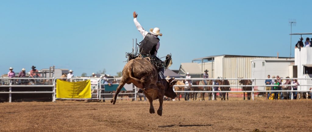 Rodeio | Página 5 de 8 | Blog Rodeo West