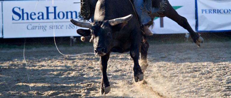 Qual é o Maior Festival de Rodeio do Mundo? | Blog Rodeo West
