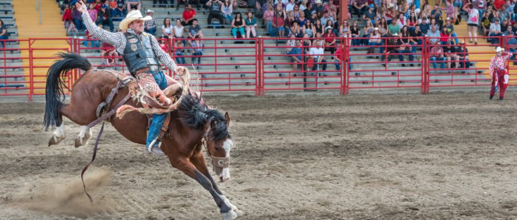 Tudo Sobre as Festas de Rodeio | Blog Rodeo West
