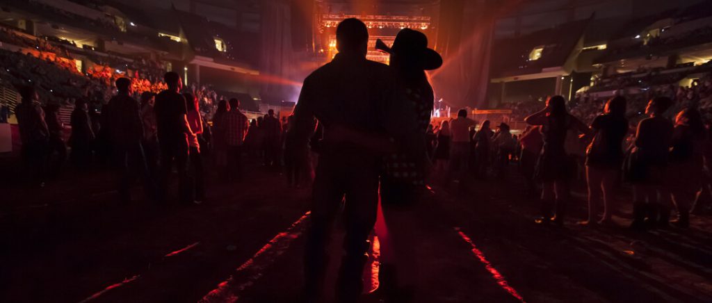 Quais São os Tipos de Boi de Rodeio | Blog Rodeo West