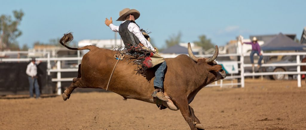 Vídeos Emocionantes de Rodeio | Blog Rodeo West