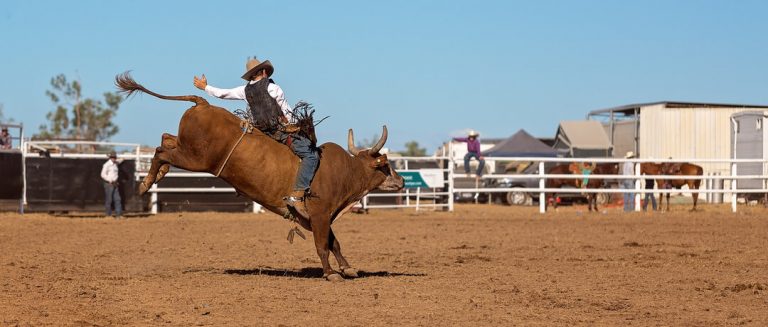 A Origem dos Rodeios no Mundo | Blog Rodeo West