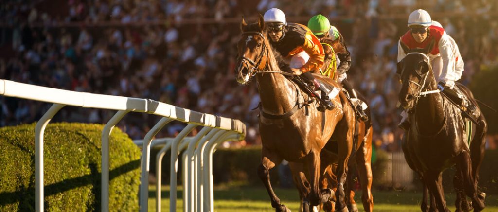 Turfe: conheça as regras dessa modalidade | Blog Rodeo West