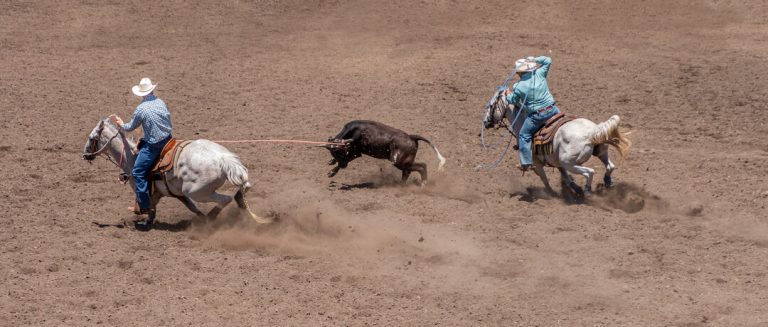 Saiba quais são os maiores rodeios do mundo! | Blog Rodeo West