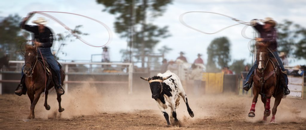 Os destaques de Barretos 2019 | Blog Rodeo West