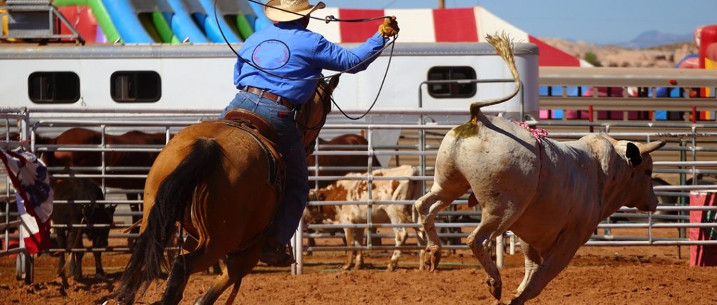 Team Penning: saiba mais sobre o esporte | Blog Rodeo West