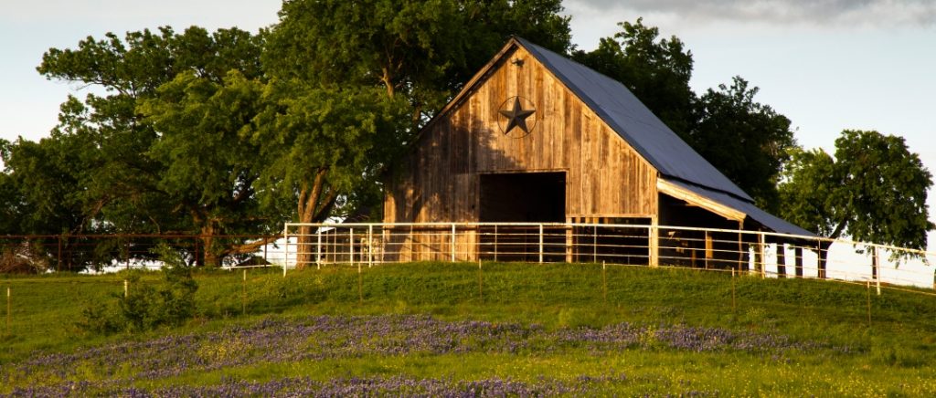 Rancho de Madeira - Como fazer um simples? Dicas | Blog Rodeo West