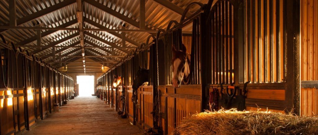 Saiba como montar e as principais características de um estábulo | Blog ...