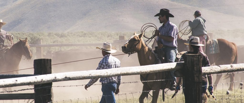 Wrangler: confira os novos produtos no site da Rodeo West | Blog Rodeo West
