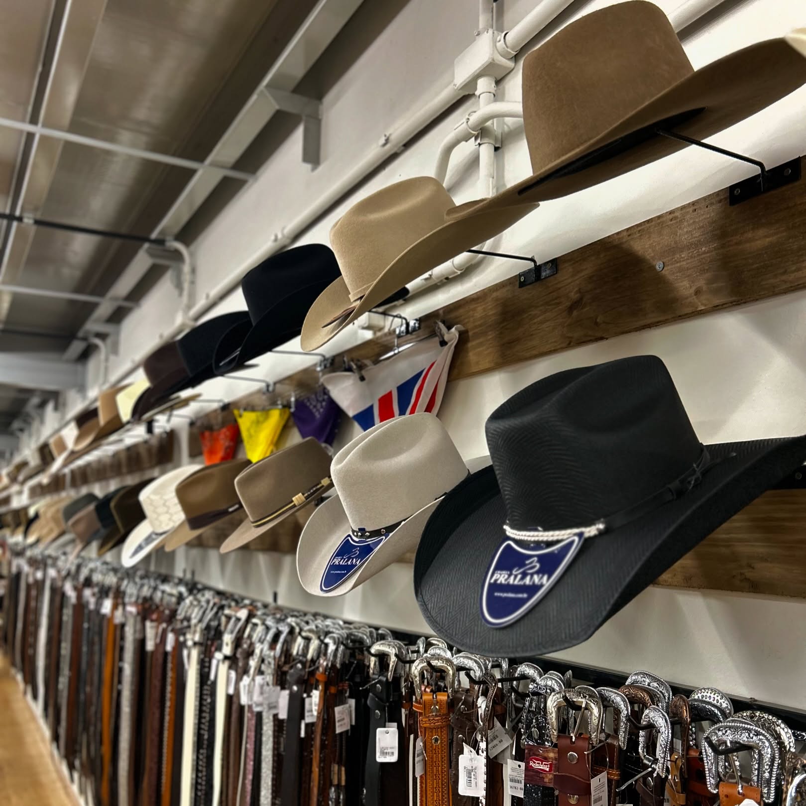 445270446_752593063617008_6425138119125359415_n | Rodeo West